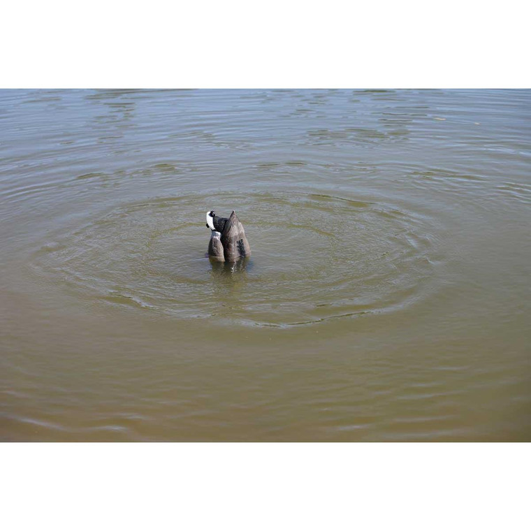 MOJO Mallard Machine Motion Decoy - Presleys Outdoors