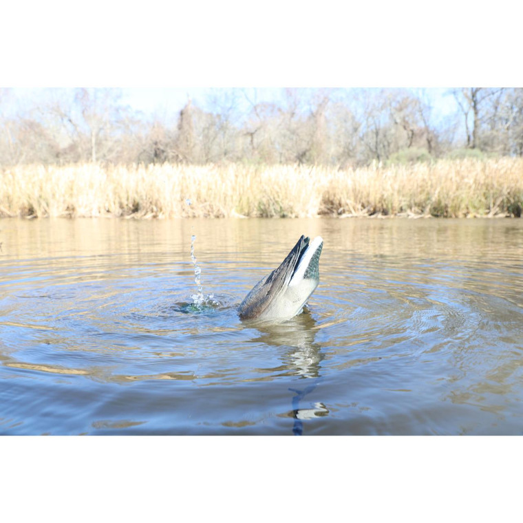 MOJO Dabbler Duck Mallard Drake - Presleys Outdoors