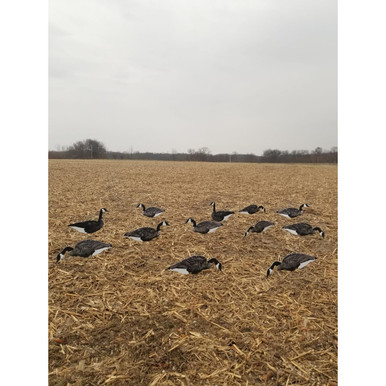 Top Down Vertical Silhouette Canada Goose Decoys - 1doz - Presleys Outdoors
