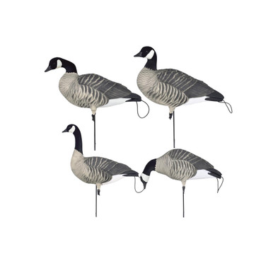 Avery GHG Pro Flex Series Canada Goose Full Body Decoys- 1 Dozen ...