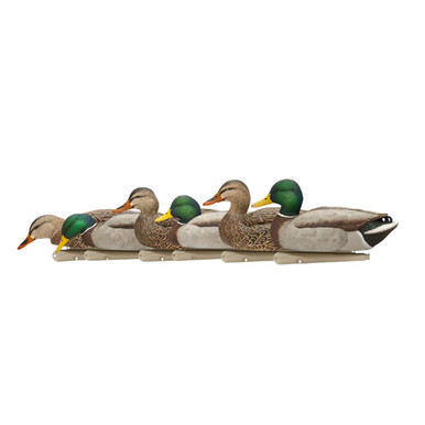 Avian-X Topflight Fusion Mallard Duck Floaters- 6pk - Presleys Outdoors