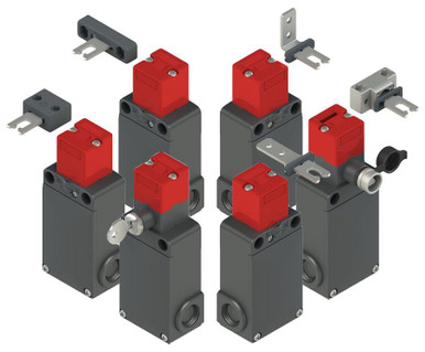 FS 3096D024-F1M2 Pizzato Safety Switches