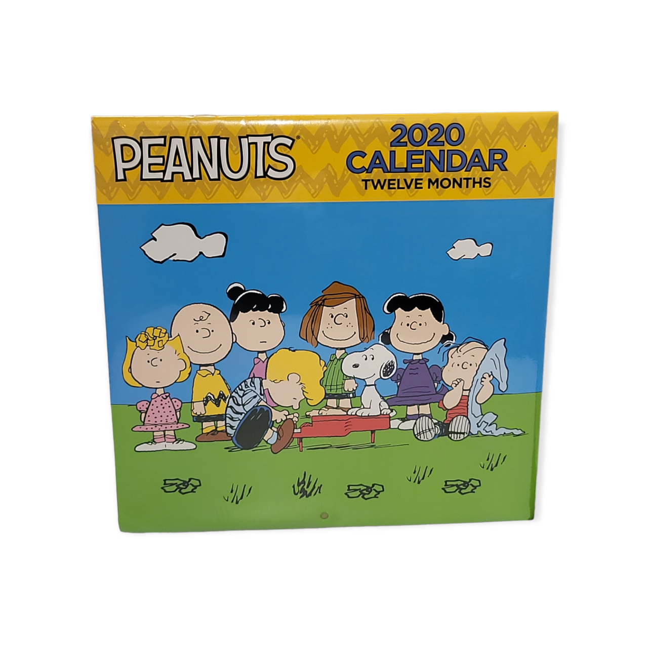 PEANUTS 2020 Calendar TWELVE Months Collectible SEALED - Annie Rooster ...