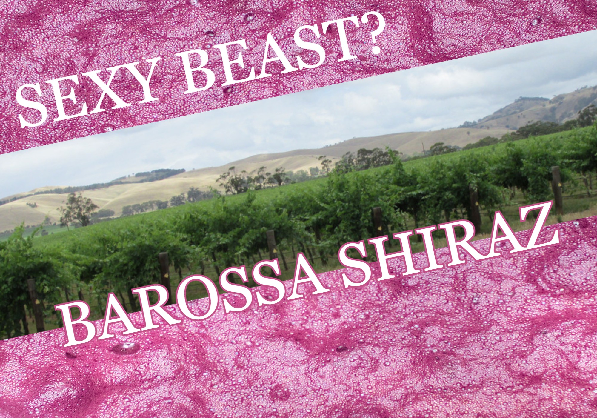 Shiraz... Seriously sexy beast? - Frazier Jones Wine Merchants