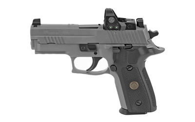 Sig Sauer DA/SA - P229 - 9MM - 229R-9-LEGION-RXP - Abide Armory