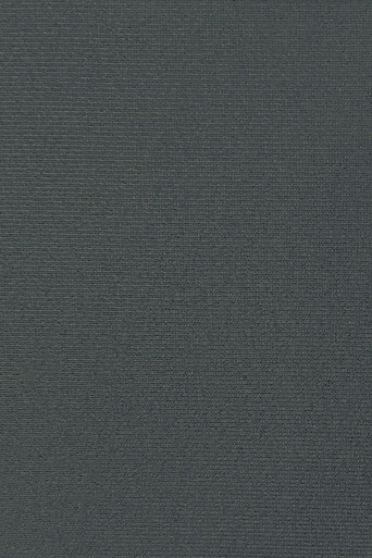 Silver Lining Dark Gray 1883 Foam Backed Headliner Fabric - Texas ...