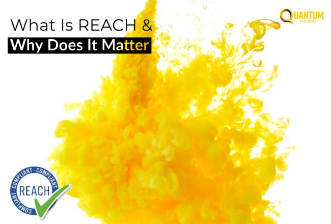 What Is REACH and Why Does It Matter - Quantum PMU EU