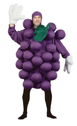 Adult Purple Grapes Costume