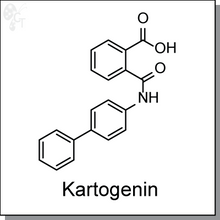 Kartogenin | Chondrocyte differentiation - Cellagen Technology