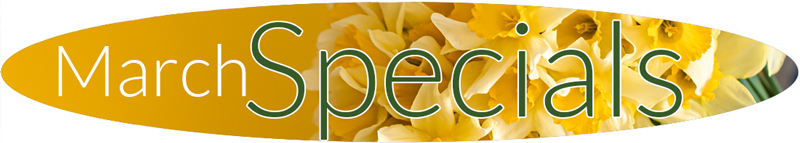 Sales Specials! Our best deals currently going this month