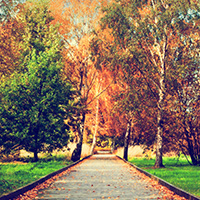 Fall Maintenance Tips For Your Vehicle S Cooling System Flex