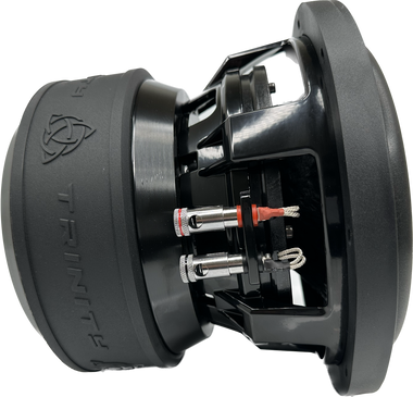 Trinity Audio M Series 10" Subwoofer - Best Price & Reviews