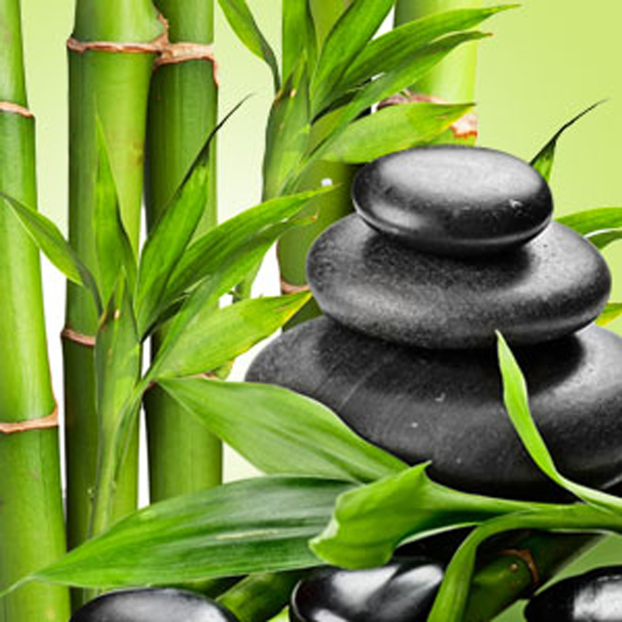 Fresh Bamboo Fragrance Oil Natures Garden Candles