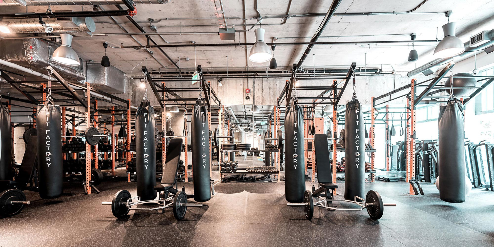 Canadian Gym Design & Equipment | Home And Luxury Gyms