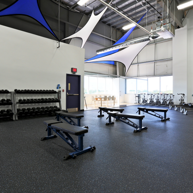 LDS Vibra Series Gym Flooring Tiles