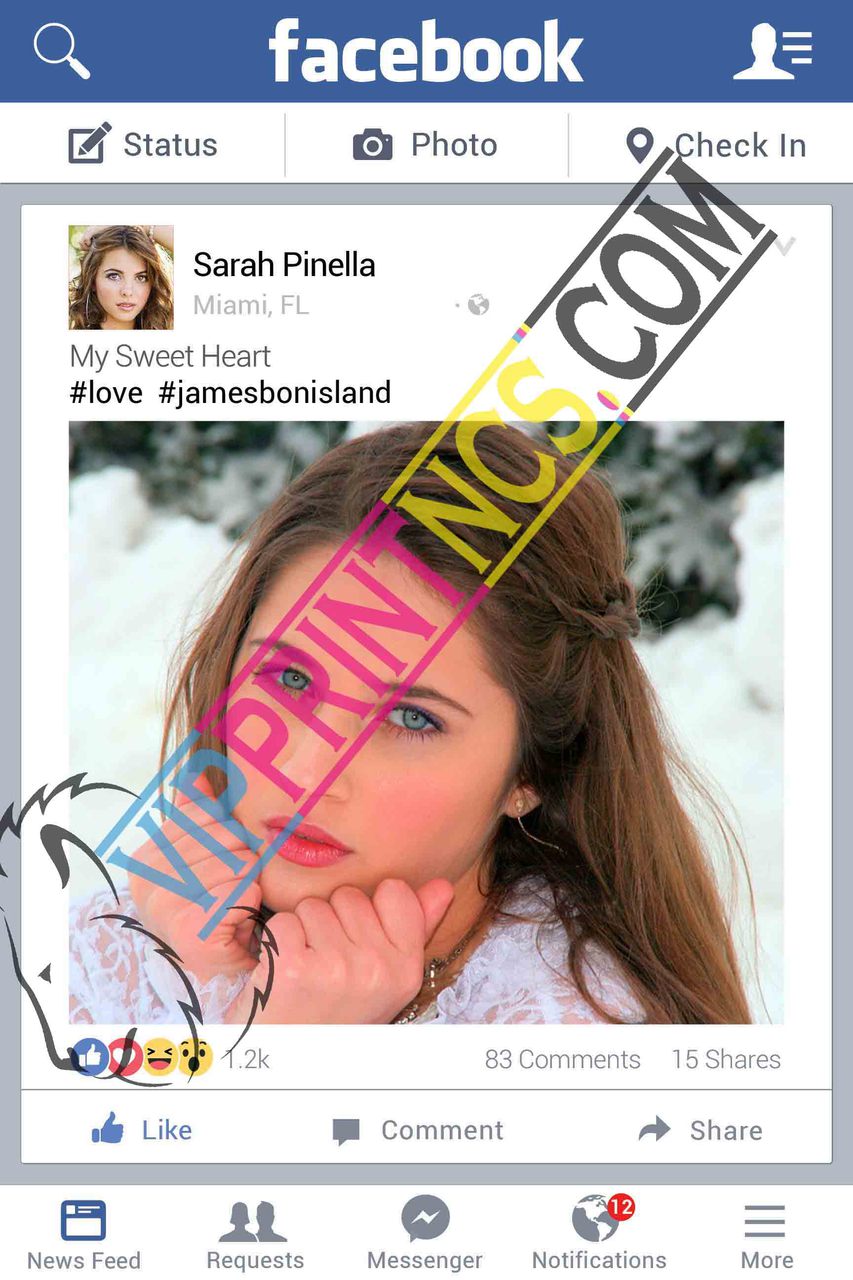 FACEBOOK BOARD PHOTO BOARD