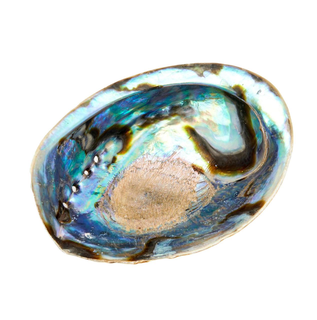 how to use abalone shell