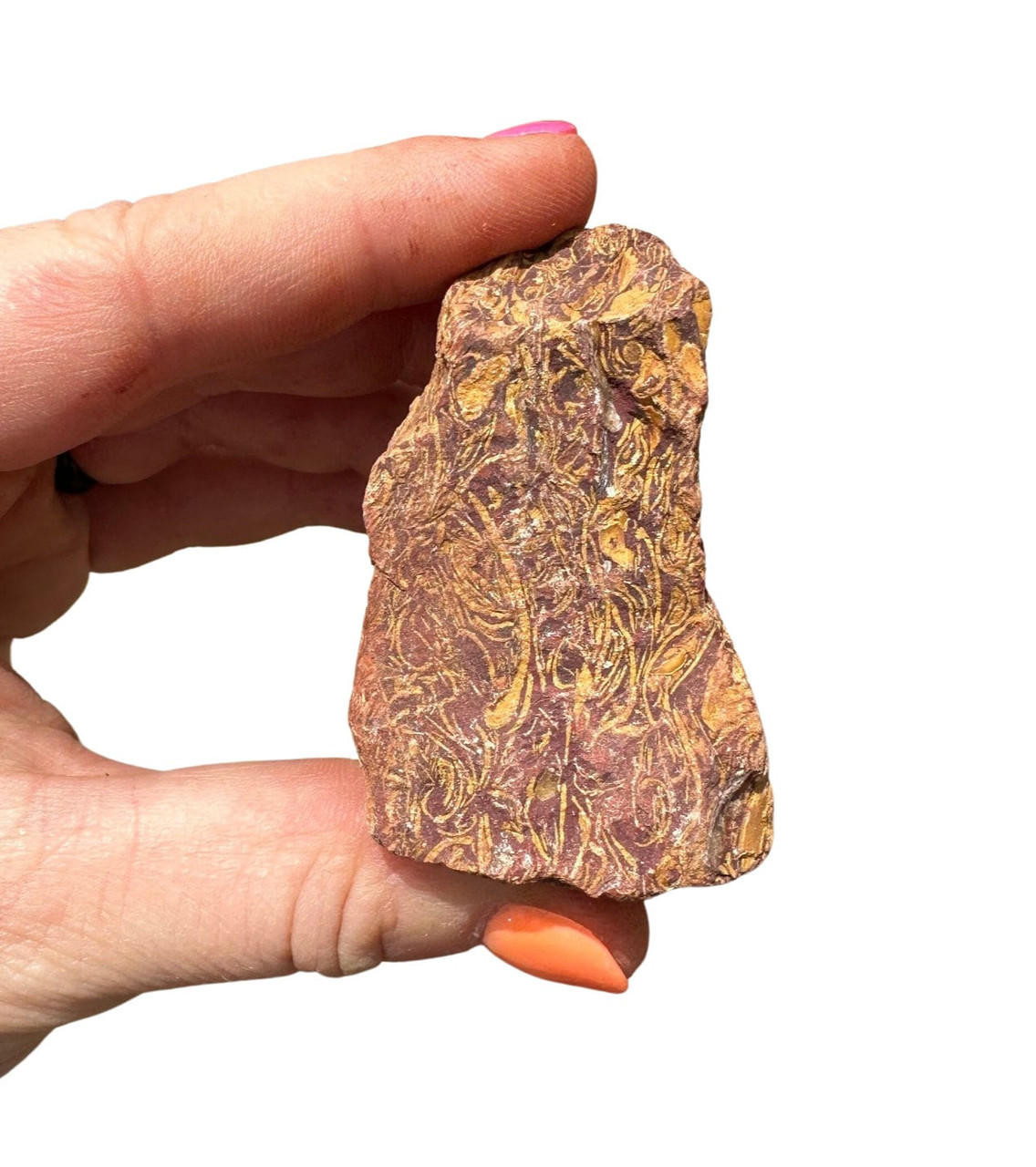 Raw Calligraphy Jasper | New Moon Beginnings