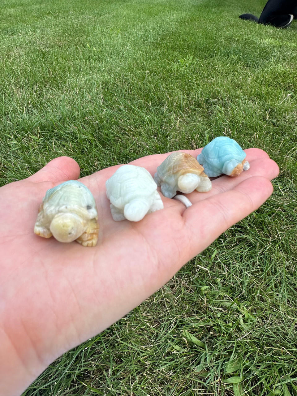 Miniature Amazonite Turtle | New Moon Beginnings