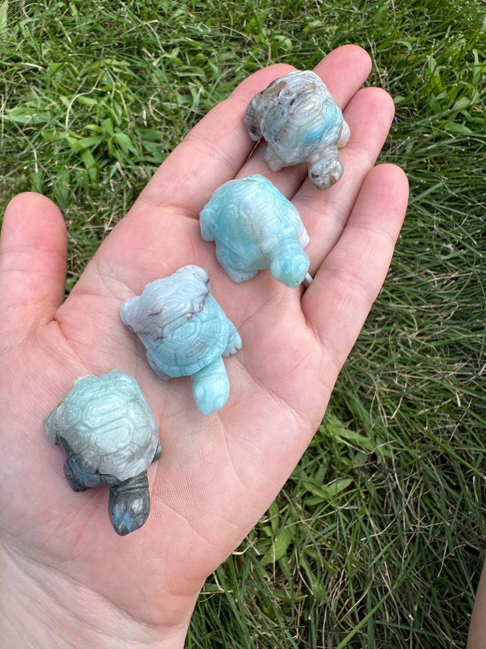 Miniature Amazonite Turtle | New Moon Beginnings