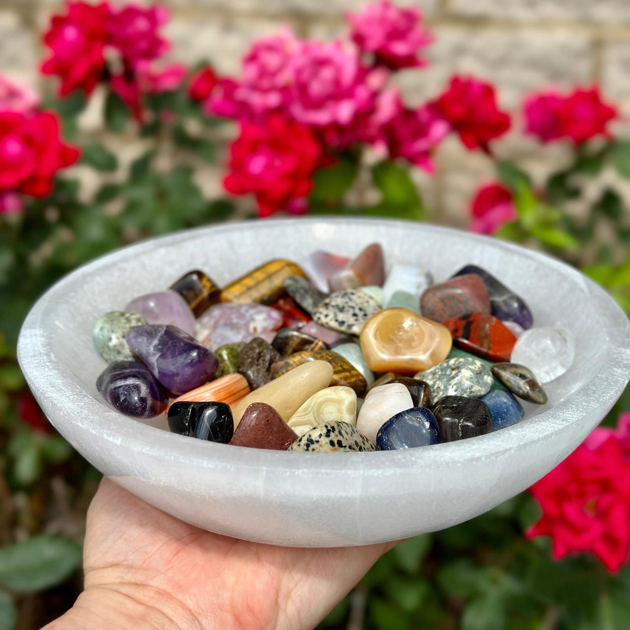 Large Selenite Dish (~8") | New Moon Beginnings