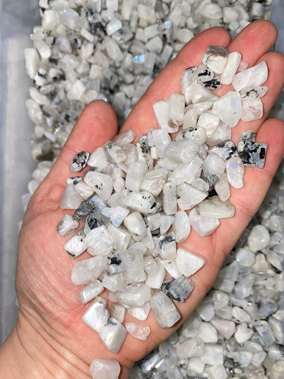 Bulk Rainbow Moonstone Chips (1 lb. Bag) Size 8mm - 12mm | New Moon ...