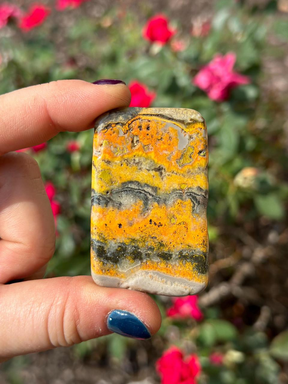 Bumble Bee Jasper Slice | New Moon Beginnings