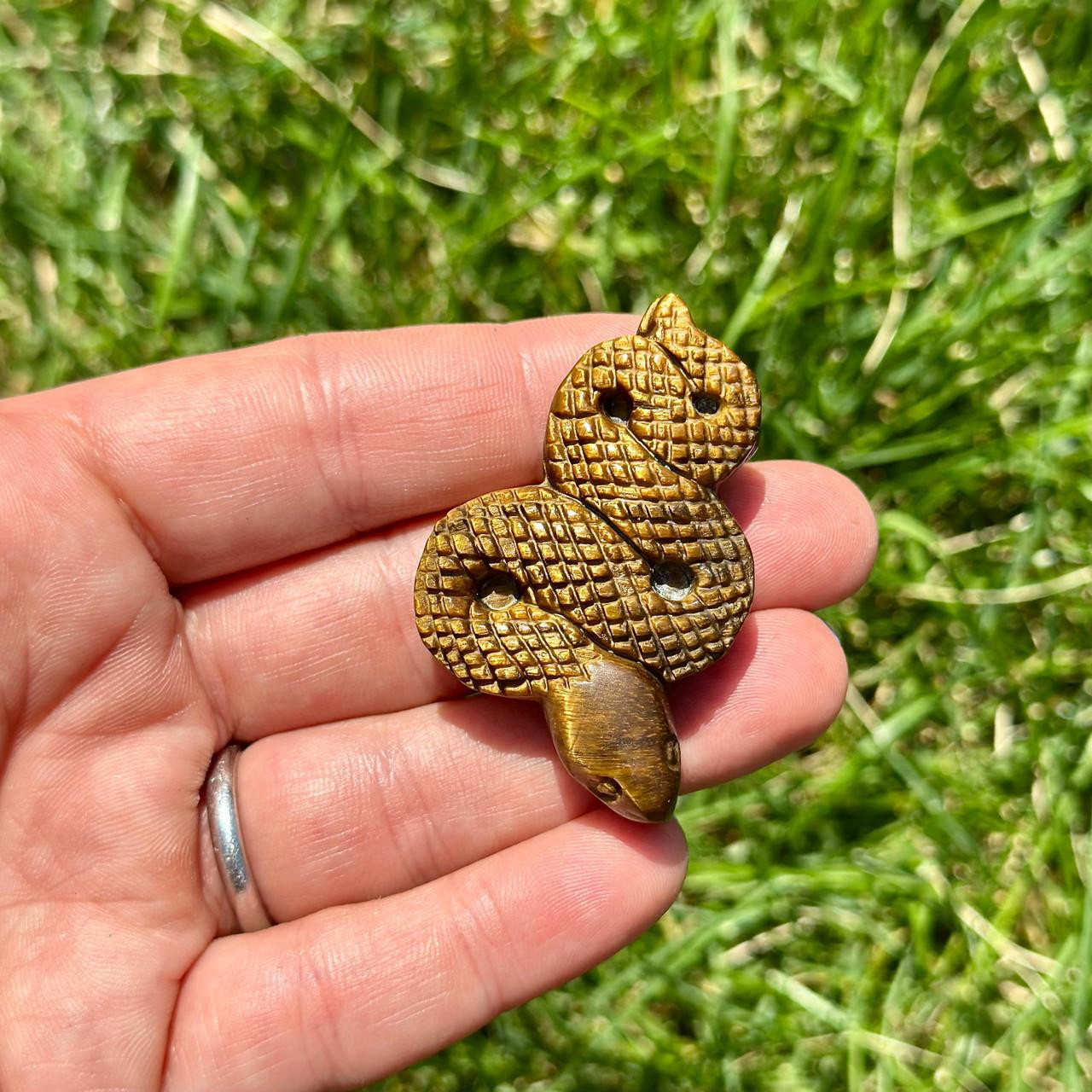 Tigers Eye Snake - New Moon Beginnings | New Moon Beginnings
