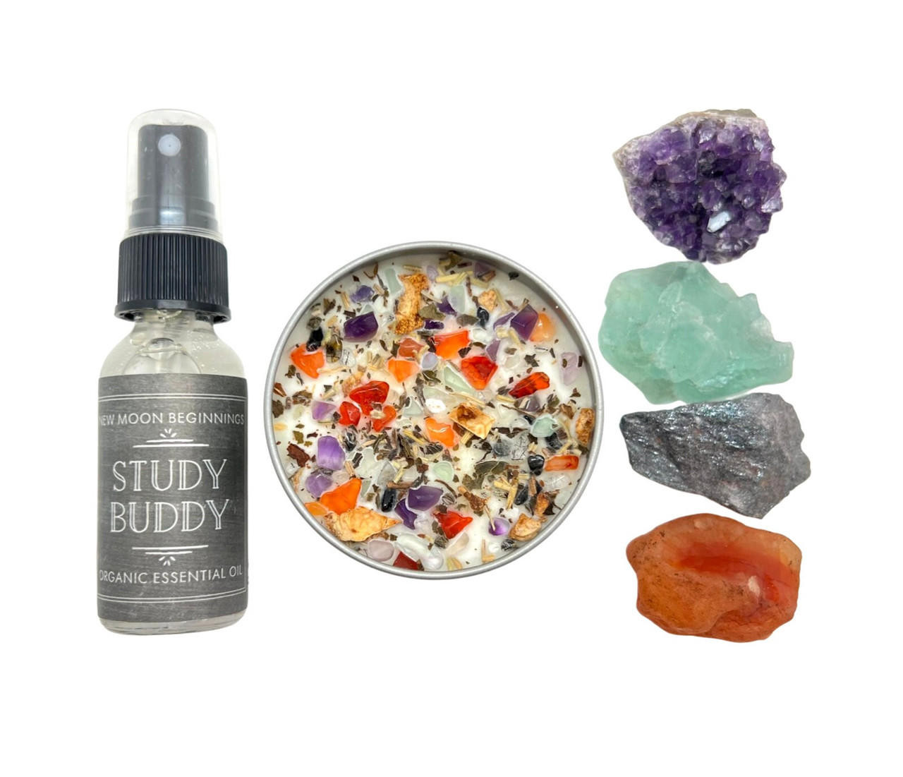 Study Buddy Kit | New Moon Beginnings
