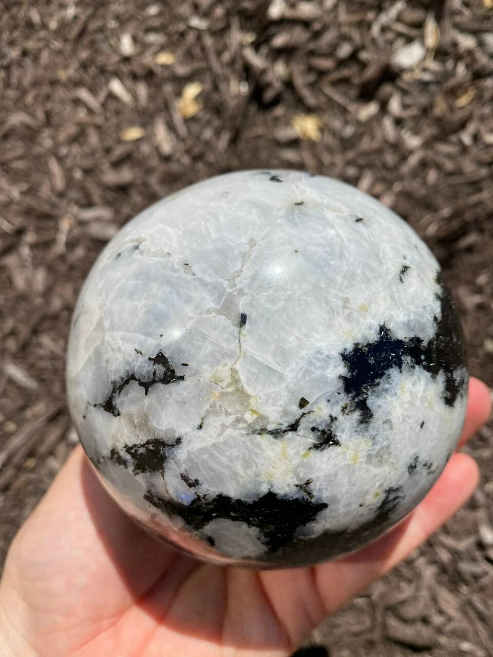 Large Rainbow Moonstone Sphere - 2 | New Moon Beginnings