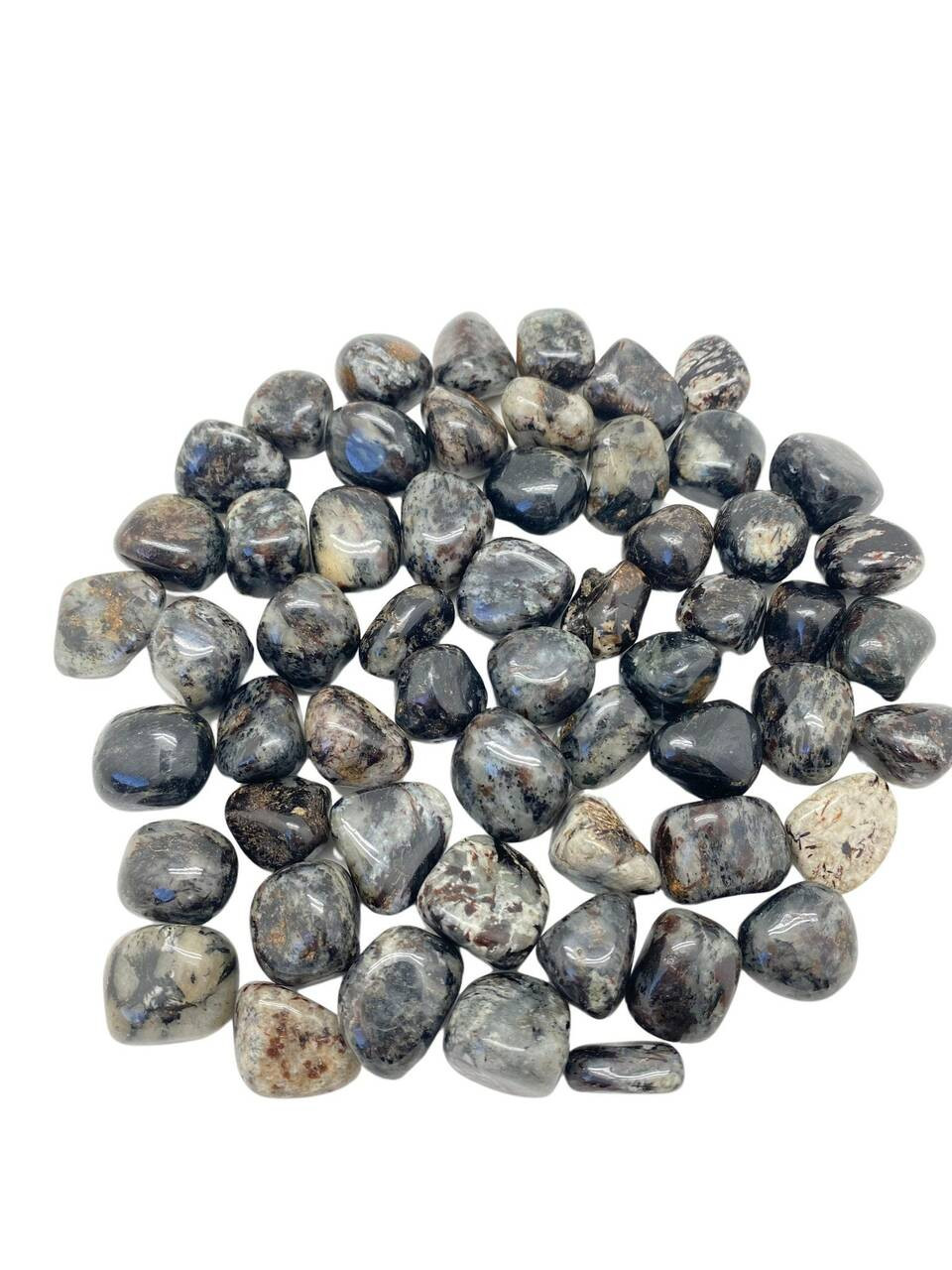 Astrophyllite Tumbled Stone with Aegirine | New Moon Beginnings