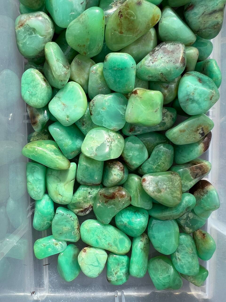Chrysoprase Tumbled Stone (Grade A) - Tanzania | New Moon Beginnings