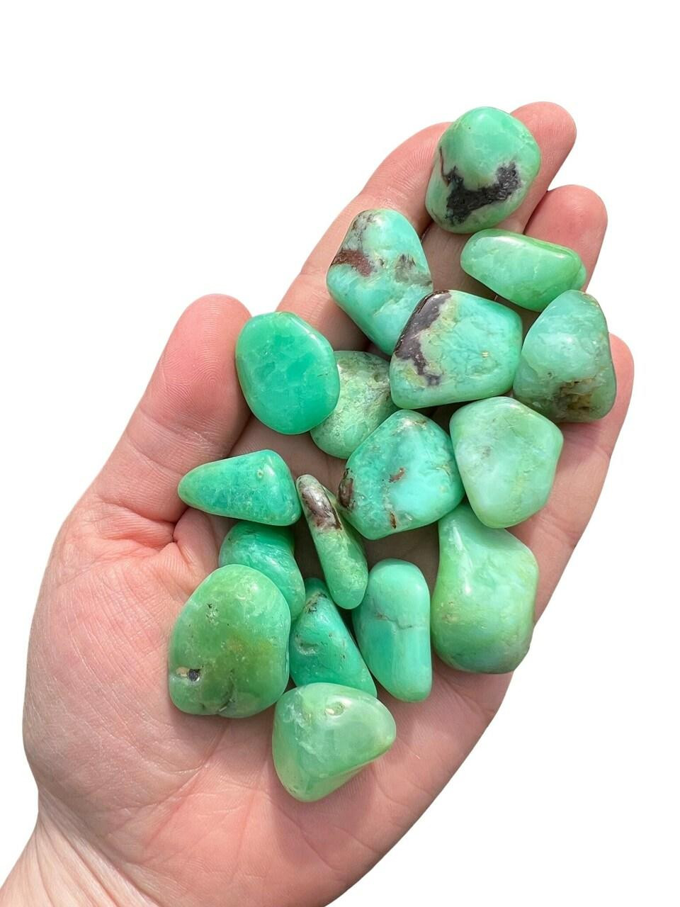 Chrysoprase Tumbled Stone (Grade A) - Tanzania | New Moon Beginnings