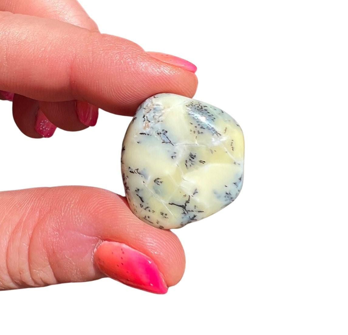 Dendritic Opal Tumbled Stone | New Moon Beginnings