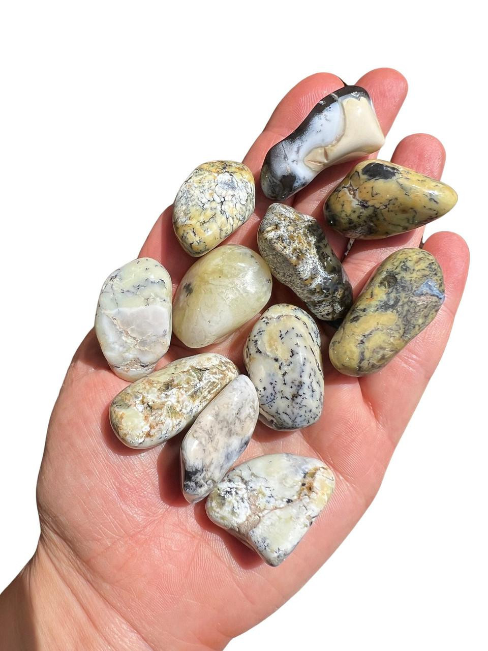 Dendritic Opal Tumbled Stone | New Moon Beginnings