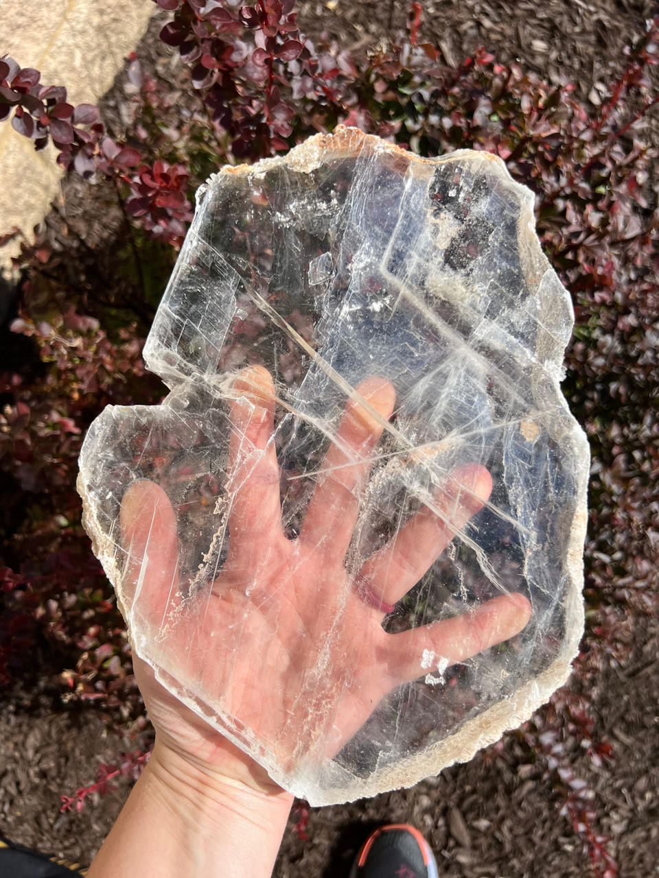 Clear Selenite Crystal Slab | New Moon Beginnings