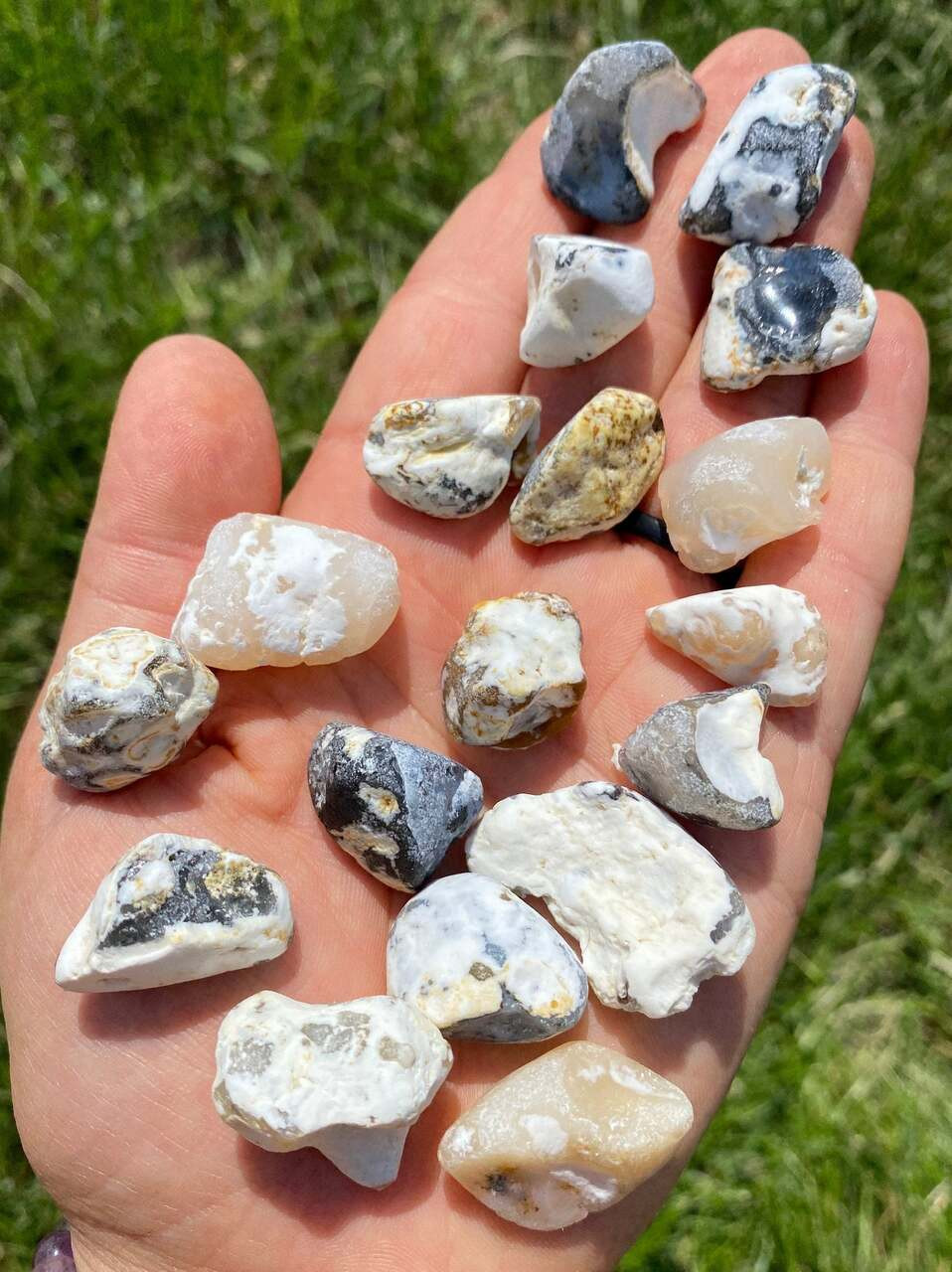 Raw Dendritic Agate Stone | New Moon Beginnings