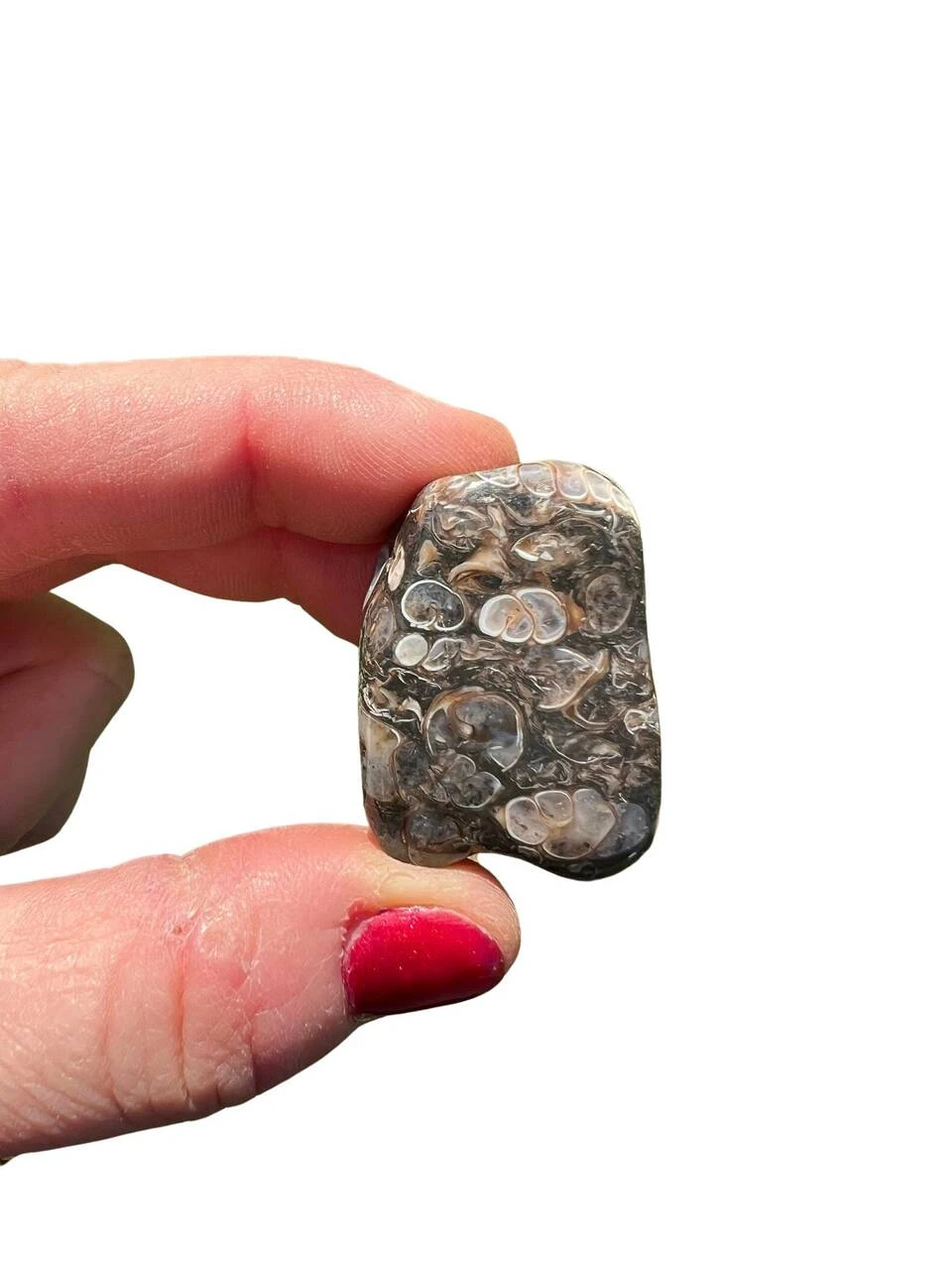 Tumbled Dendritic Agate - Dendritic Agate Tumbled Stone | New Moon ...
