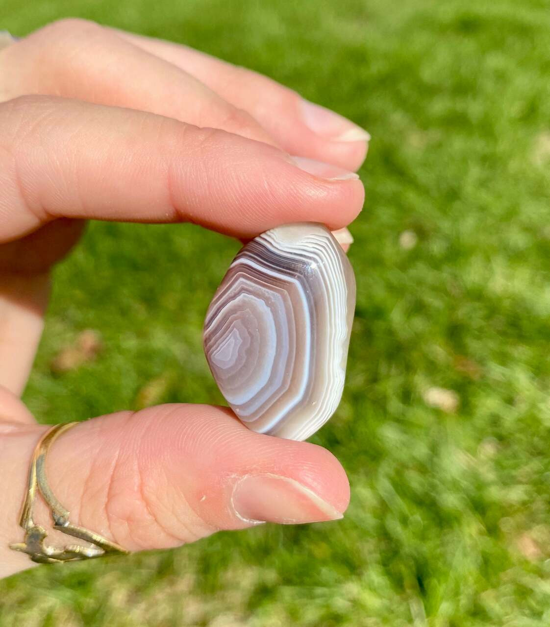 Tumbled Tree Agate - Tree Agate Tumbled Stone | New Moon Beginnings