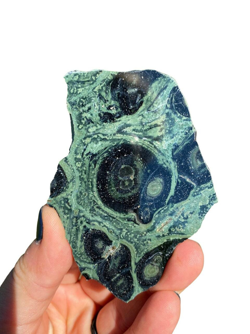 Tumbled Kambaba Jasper - Kambaba Jasper Tumbled Stone | New Moon Beginnings