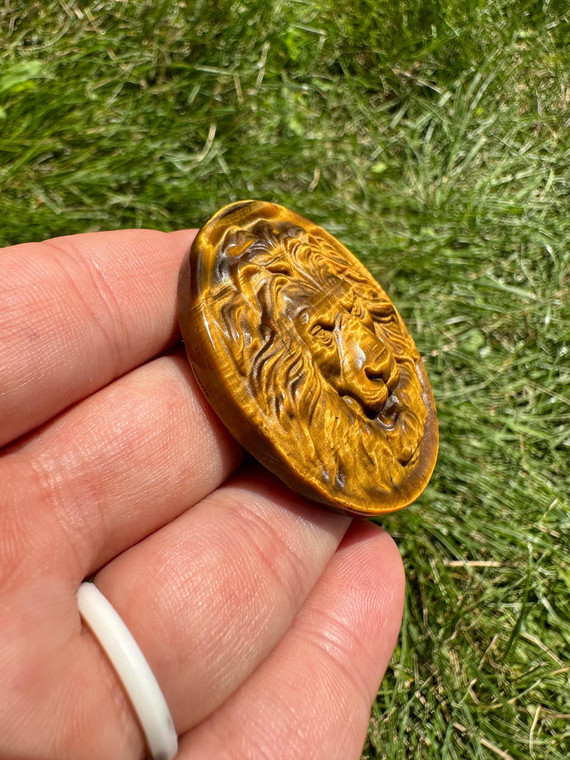Lion Head Carving in Tigers Eye | New Moon Beginnings
