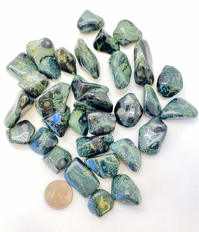 Tumbled Kambaba Jasper - Kambaba Jasper Tumbled Stone | New Moon Beginnings