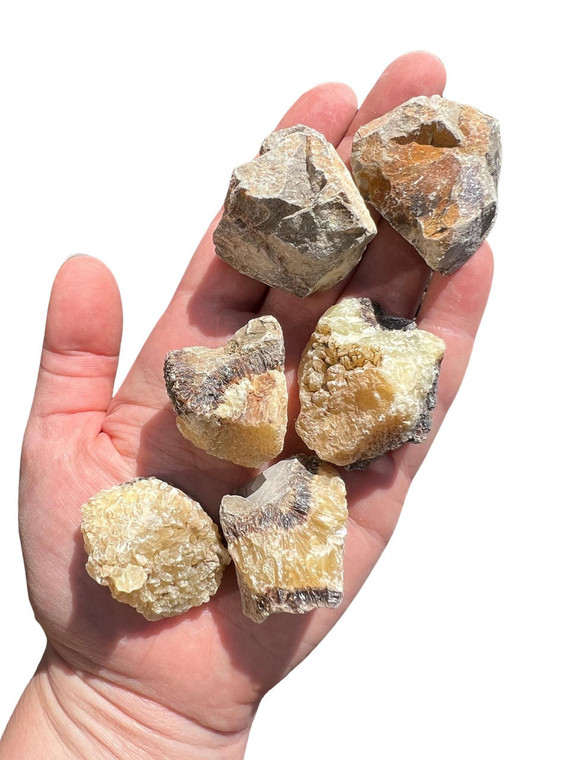 Raw Septarian Stone | New Moon Beginnings