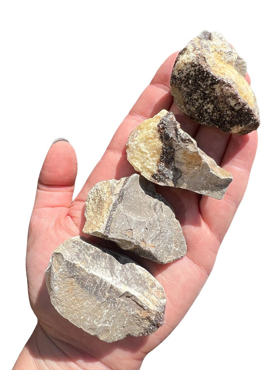 Raw Septarian Stone | New Moon Beginnings