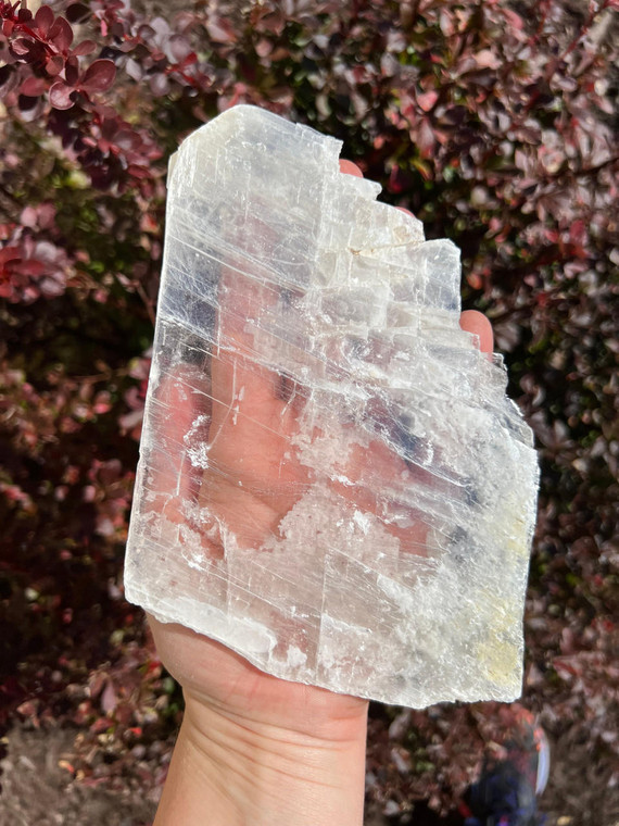 Clear Selenite Crystal Slab | New Moon Beginnings