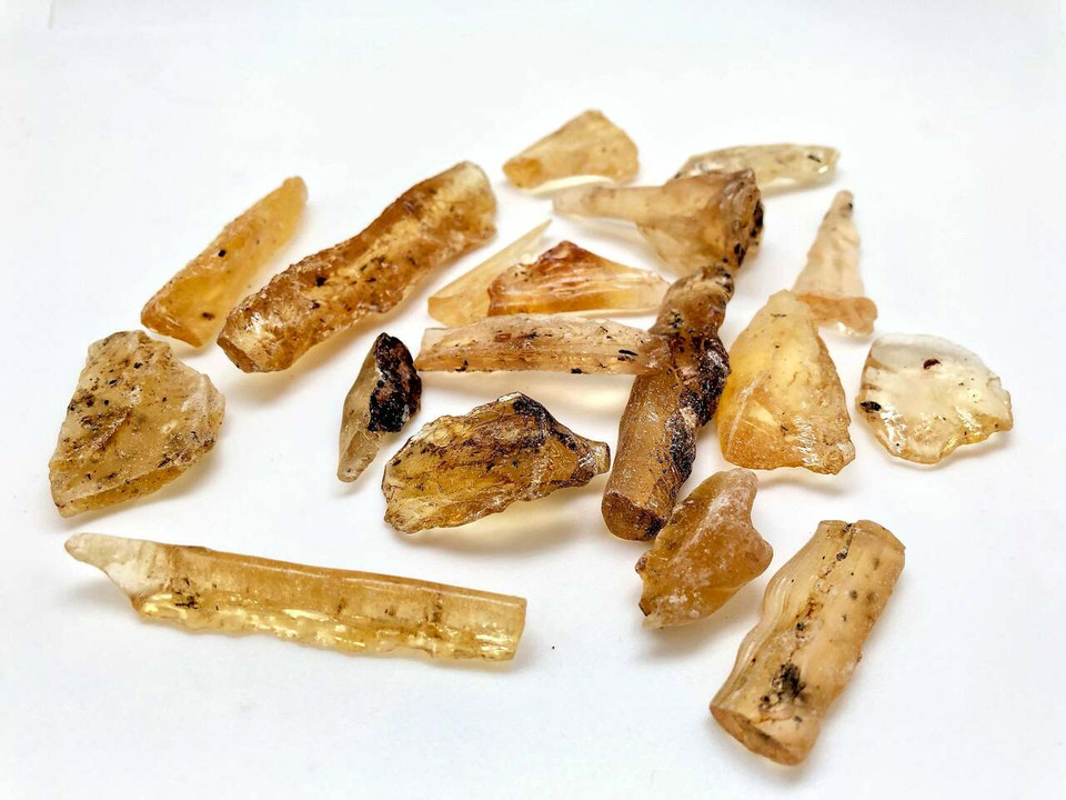 Raw Petrified Wood Stone | New Moon Beginnings