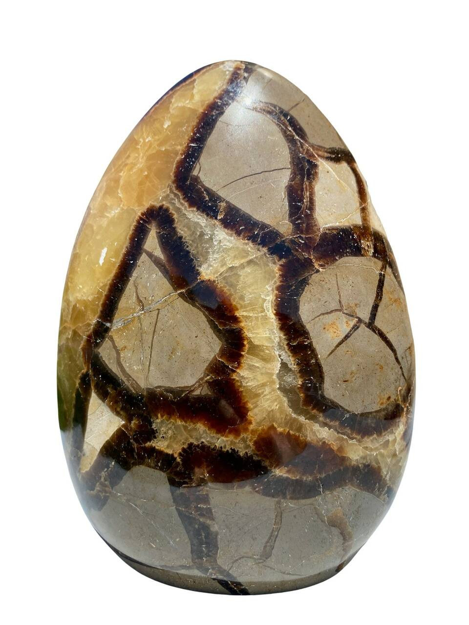 Septarian Healing Crystals, Stones & Jewelry | New Moon Beginnings