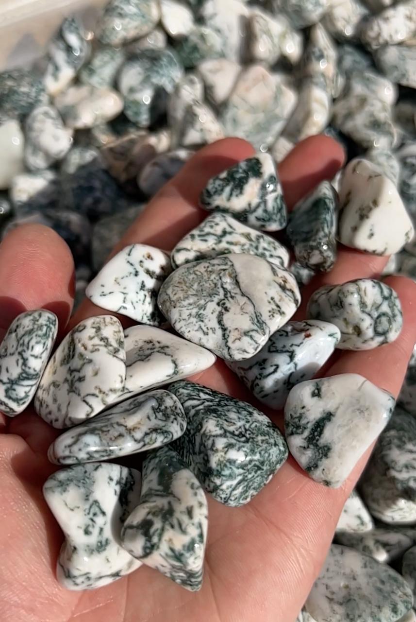 Tumbled Tree Agate - Tree Agate Tumbled Stone | New Moon Beginnings
