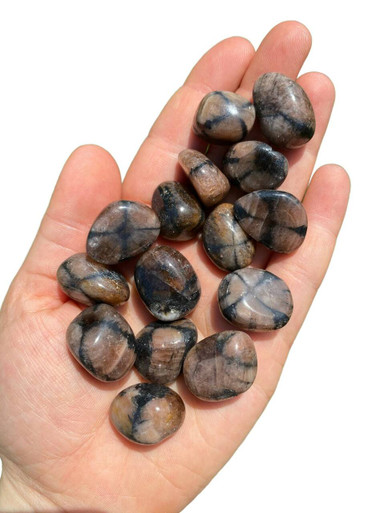 Tumbled Chiastolite - Chiastolite Tumbled Stone | New Moon Beginnings