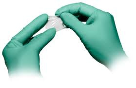 SteriShield Amnion Membrane/Dual-Layered Amnion Allograft 10 x 10mm 1 ...
